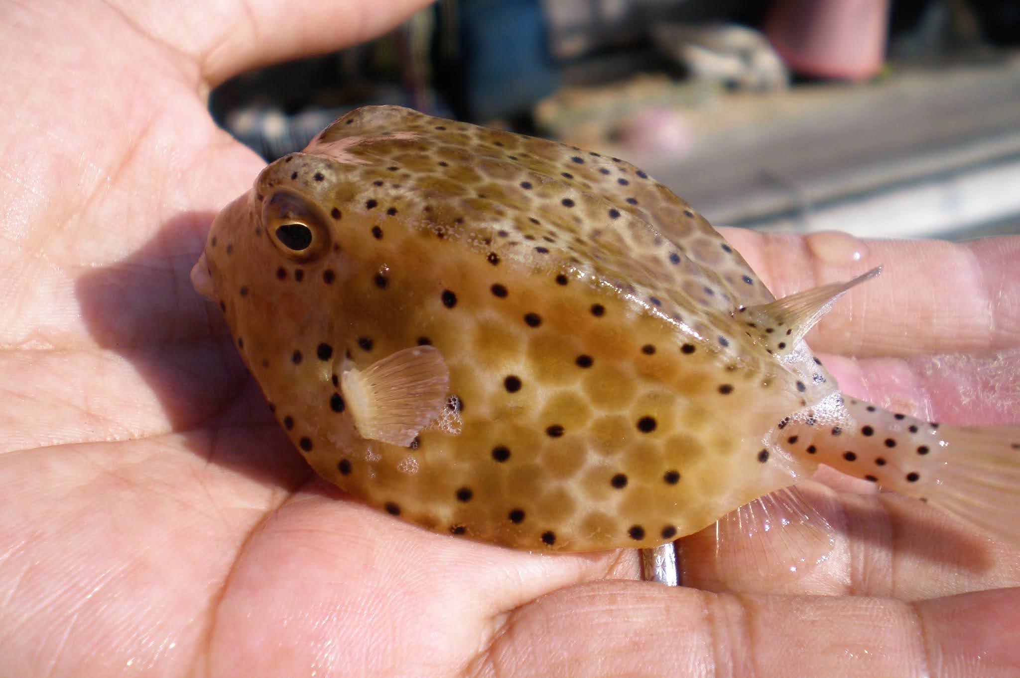 Backpacking travel & Outdoor adventures by Ching Neng Bin: 2009 ...