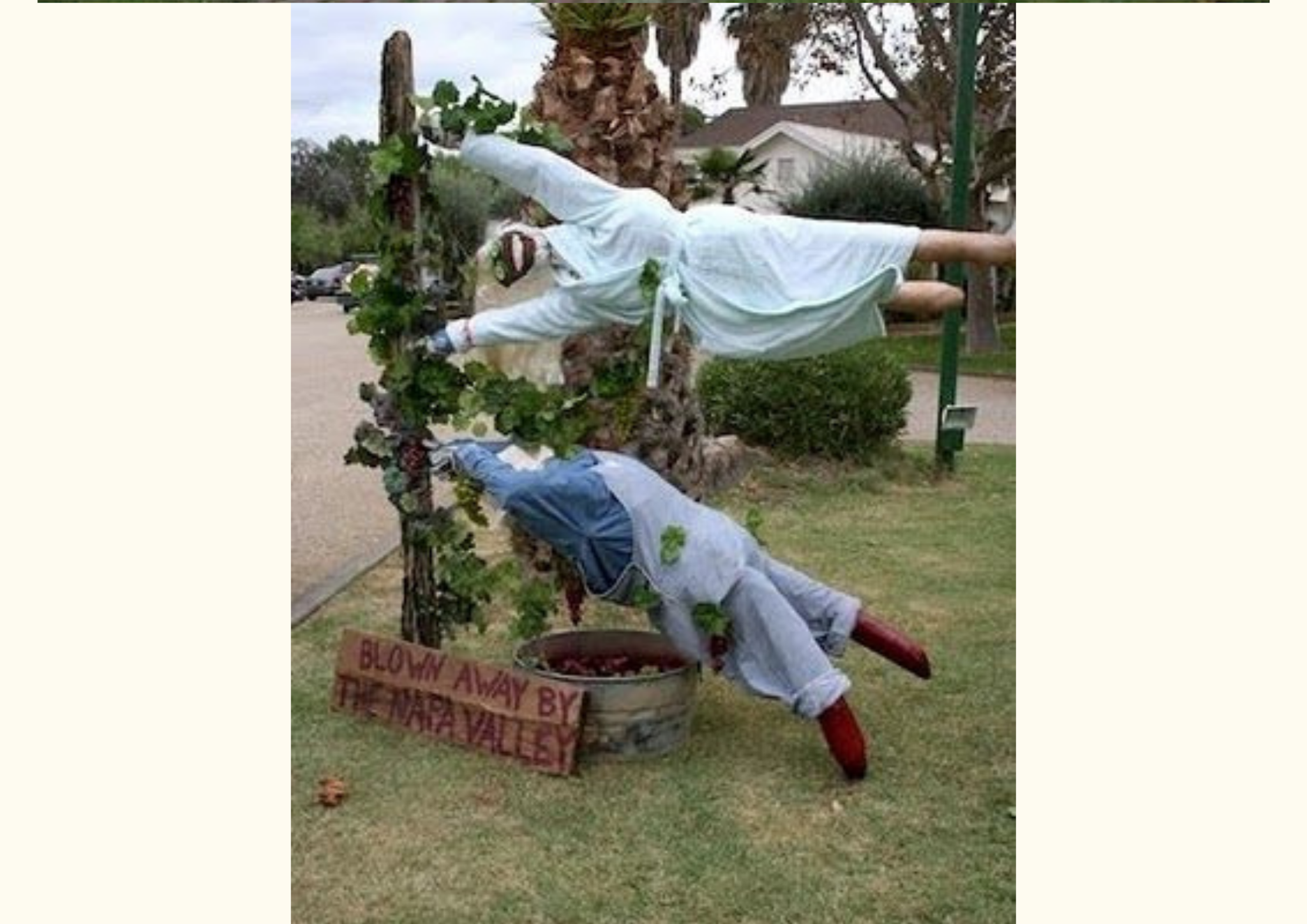 Creative and fun scarecrow ideas for Halloween!