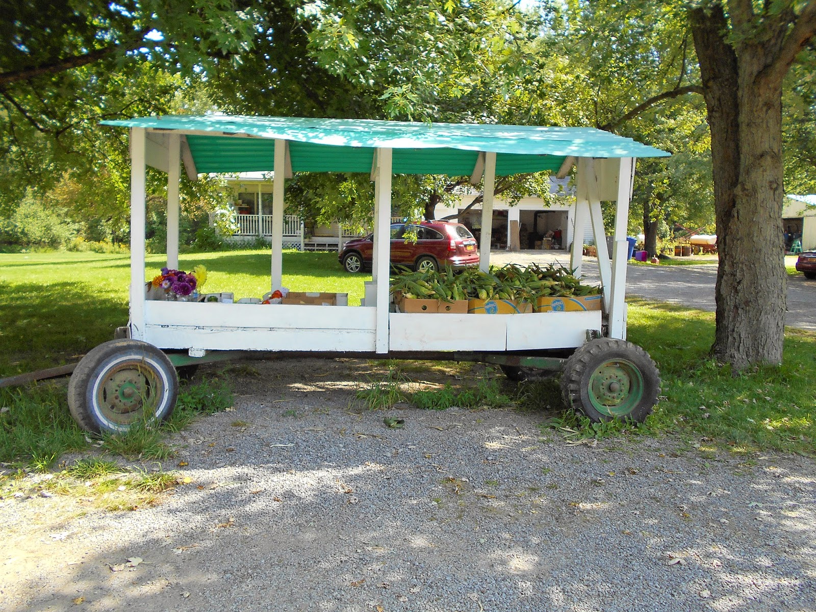 New York State of Mind: LOCAL ROADSIDE VEGETABLE STANDS