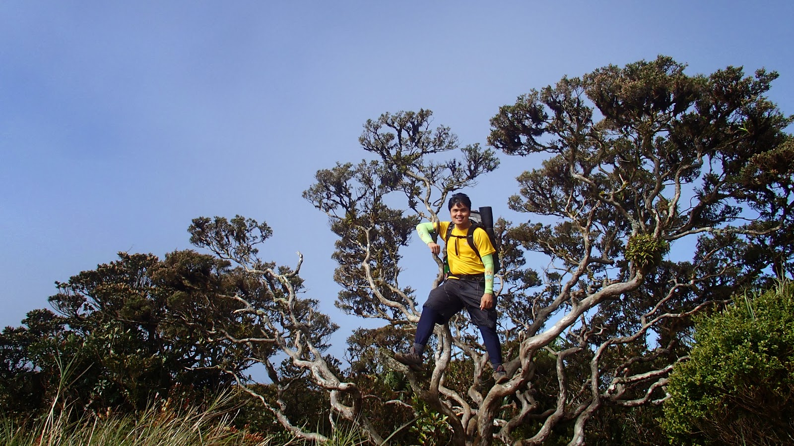 LEXICAL CROWN: MOUNT TAPULAO CLIMB