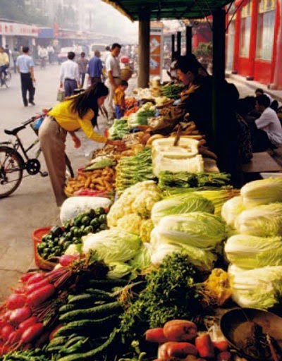 Classic Chinese Cooking Book Step-by-step: Introduction