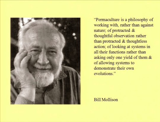 Andy Patterson Permaculture: Bill Mollison Quotes