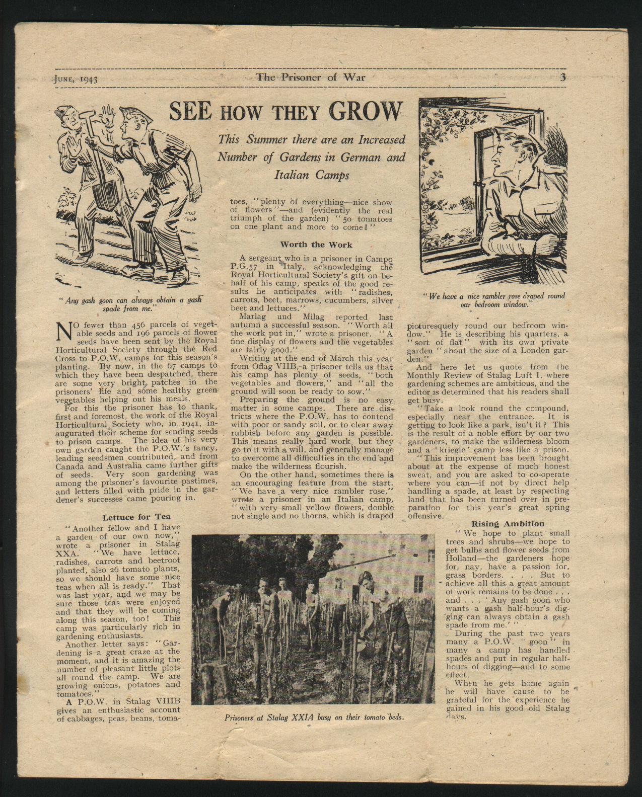 WWII Memories: Red Cross Journals - Volume 2, No. 14, June 1943