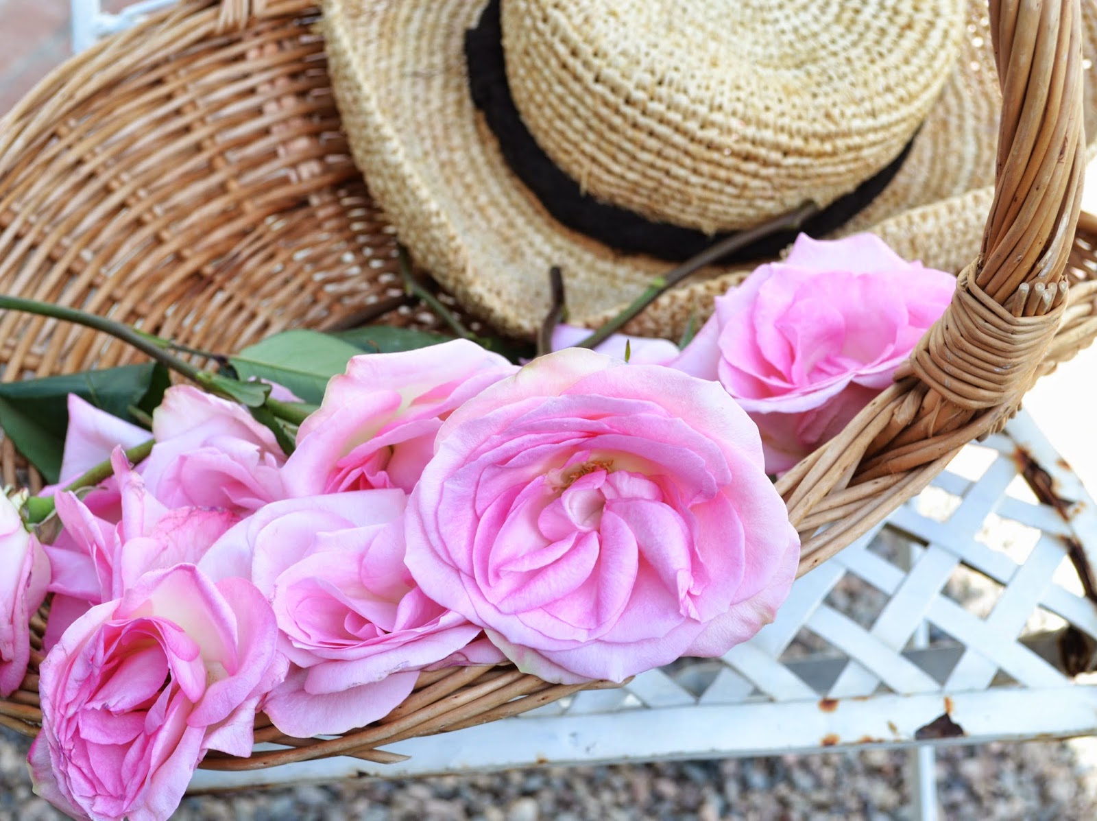 My Painted Garden: Pink Rose Inspirations