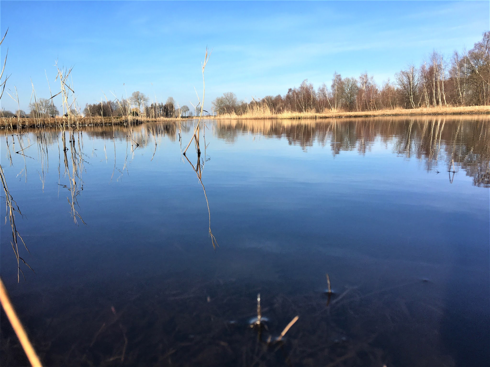 Dorpen en Steden van Nederland: Sprang-Capelle