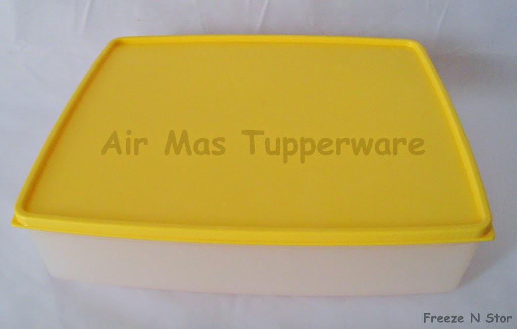 Air Mas Tupperware Collection: Freeze N Stor 3L