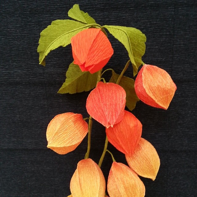 Blog de Mikel Mancisidor: Hôzuki, flor y libro