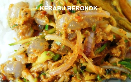 Anim Agro Technology: BERONOK DILANGKAWI - LAPOR MEDIA