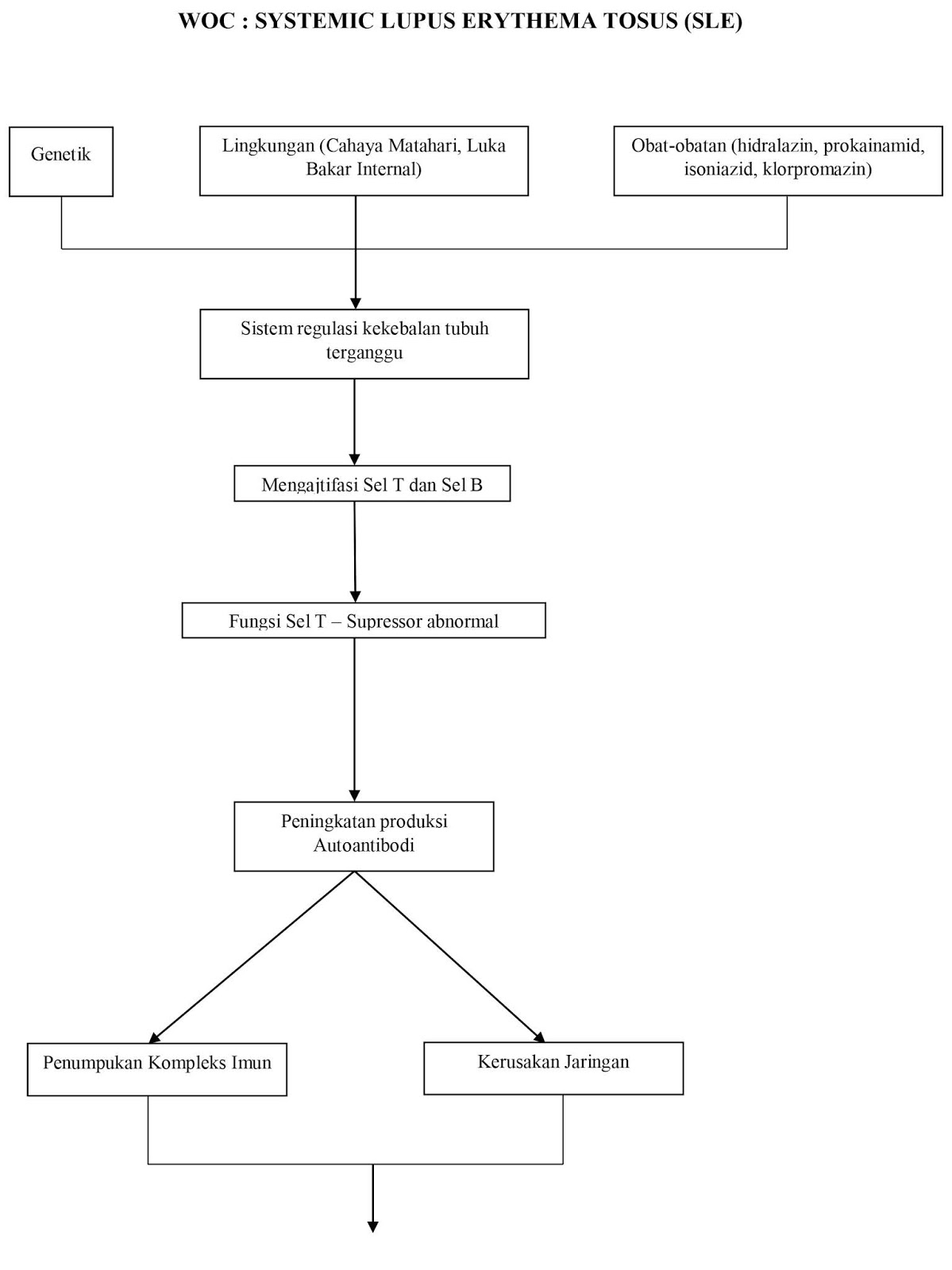 Andi Printing Legian: WOC : SYSTEMIC LUPUS ERYTHEMA TOSUS (SLE)