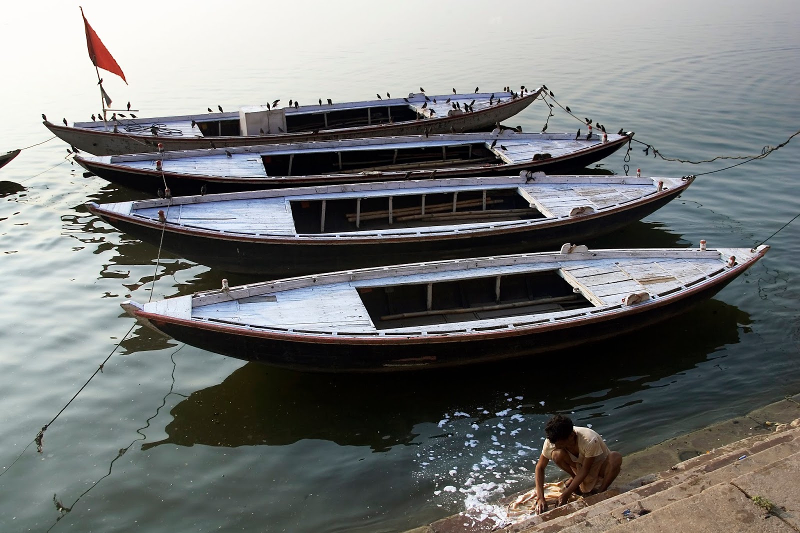 Indian Biodiversity Talks: The national waterway project may put the ...