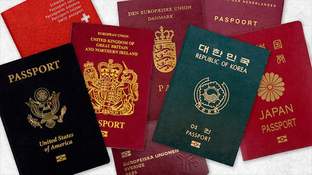 Did You Know That Passport Colors Have a Meaning? Find Your Color and ...