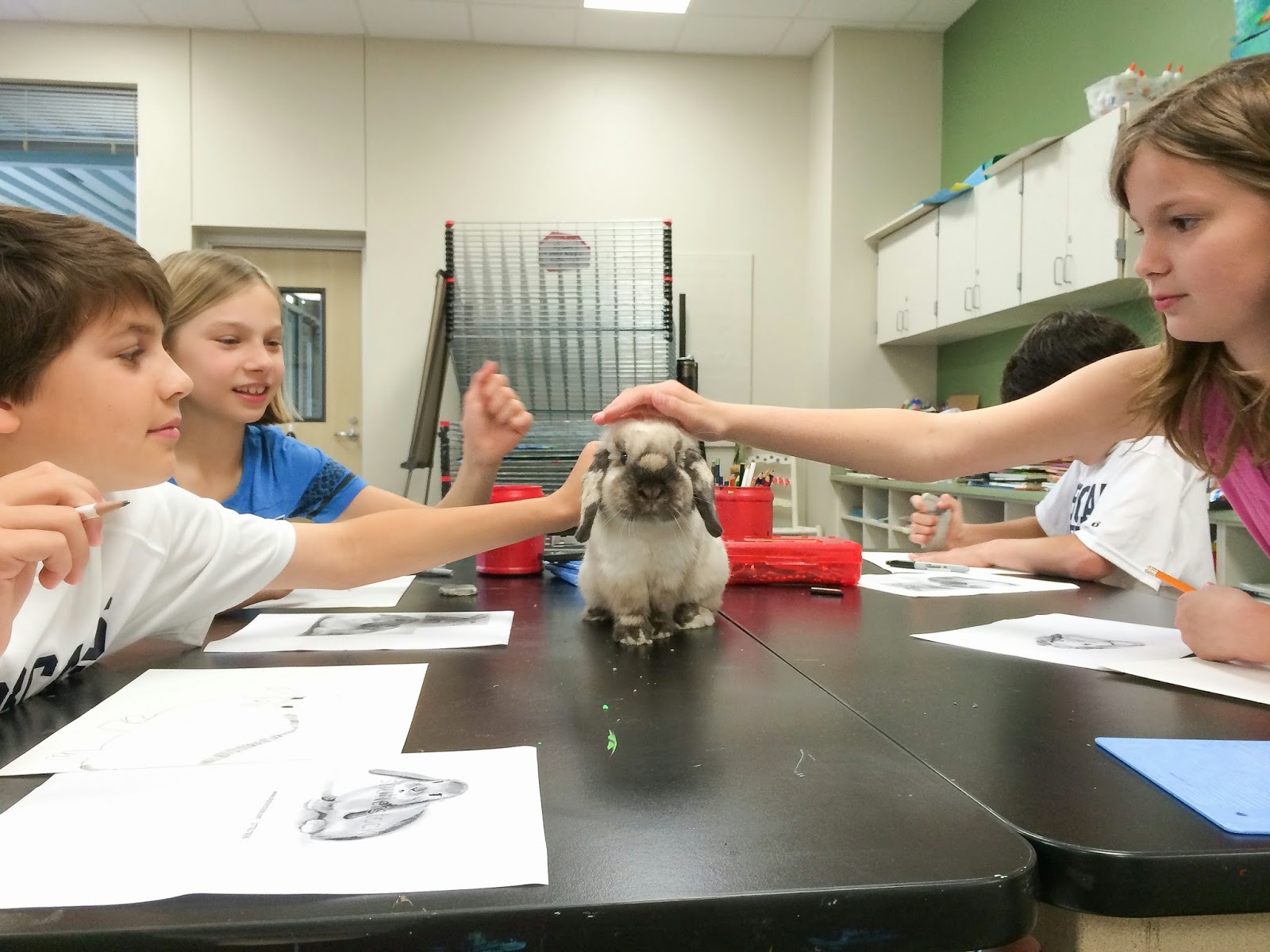 smART Class: Bunnies!!