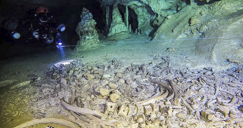 HALLAN EN QUINTANA ROO ( MÉXICO ), RESTOS FÓSILES DEL PLEISTOCENO