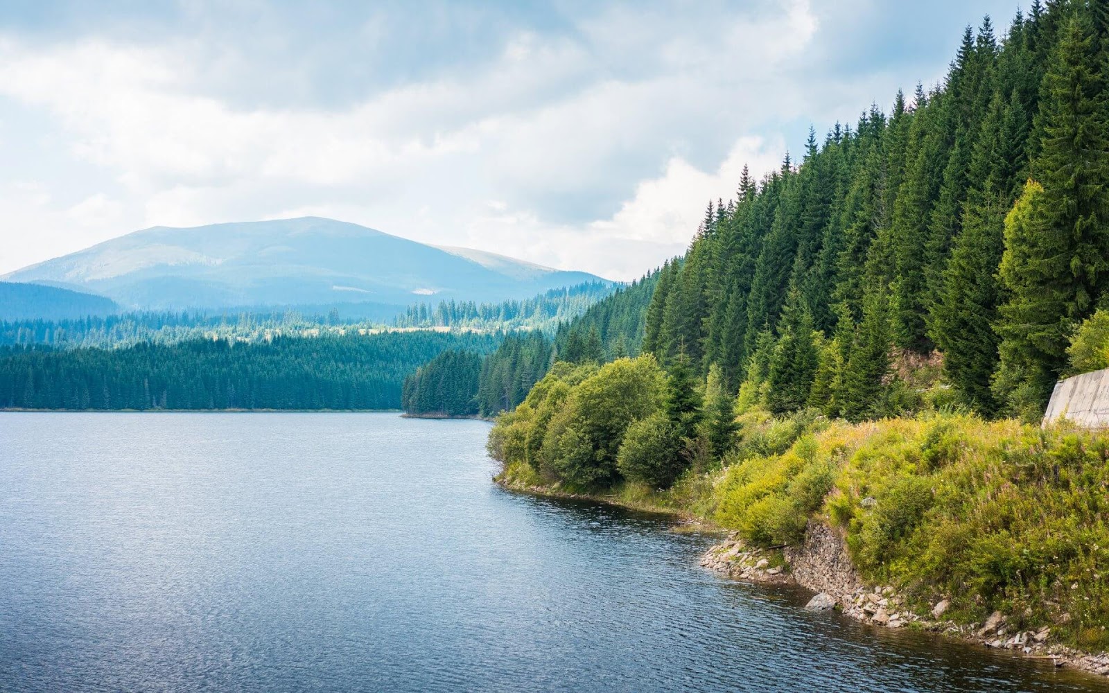 Lake Shore Wallpaper