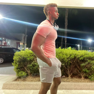 Ethnicity : Houston Jovie Scott is Black, African descent.