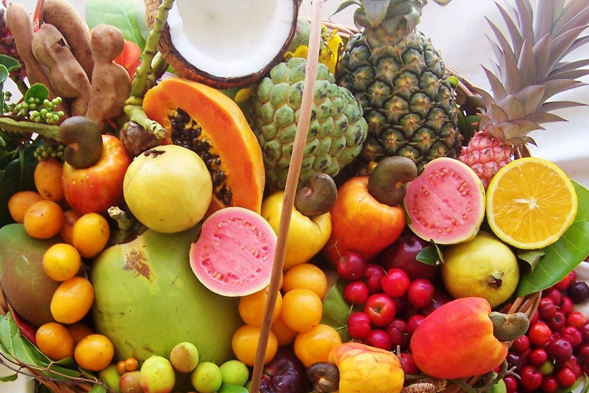 FRUTAS BRASIL: Fruticultura Orgânica e Biológica