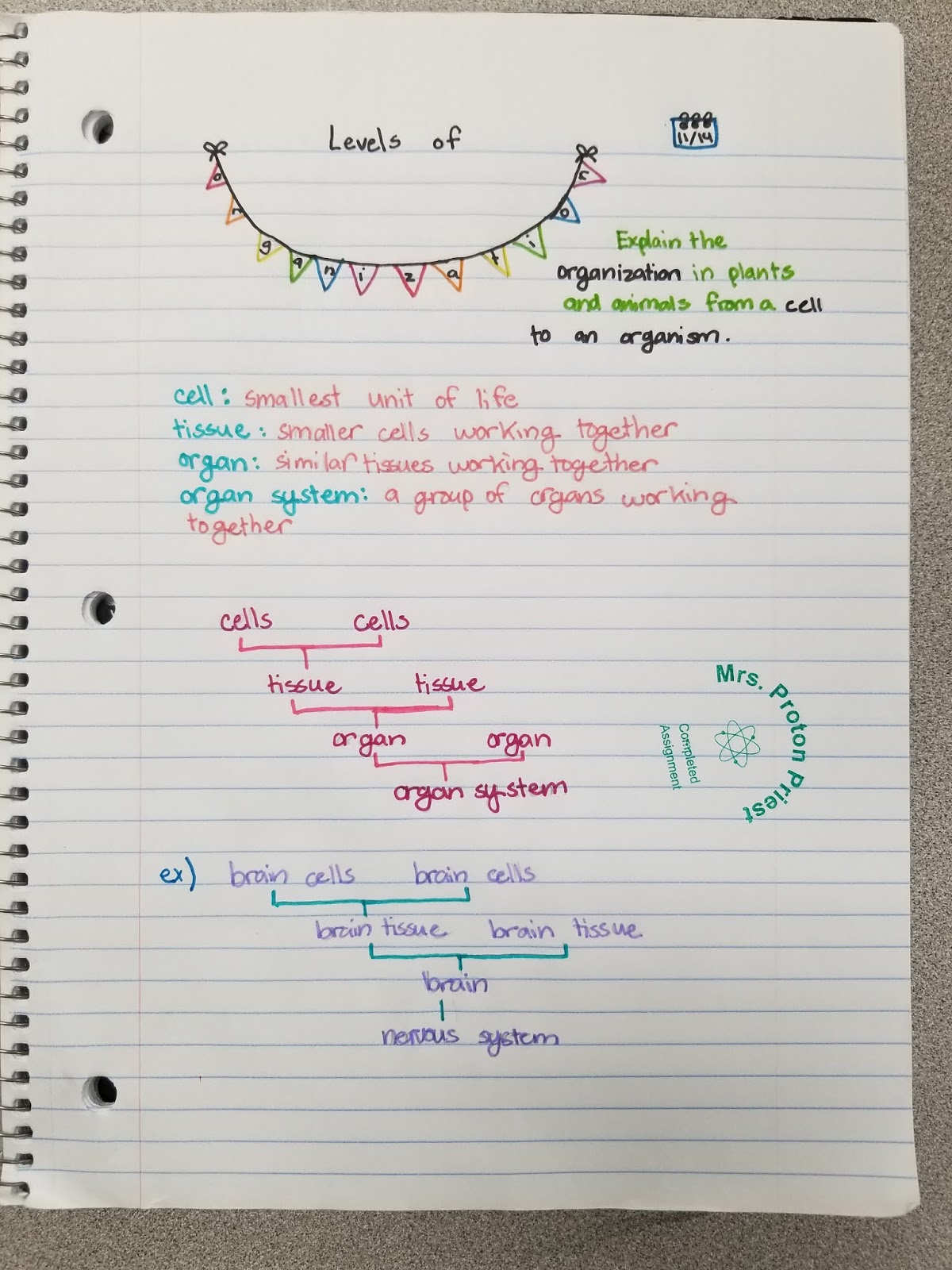 Student Output Samples from the Middle School Science Classroom | Polka ...