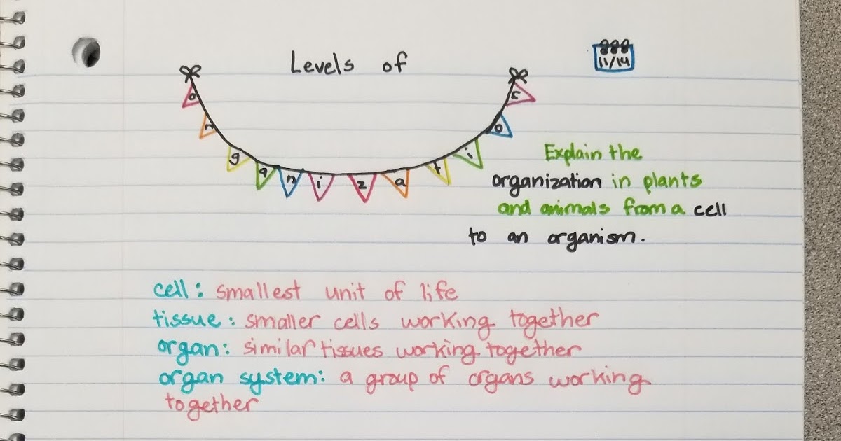 Student Output Samples from the Middle School Science Classroom | Polka ...