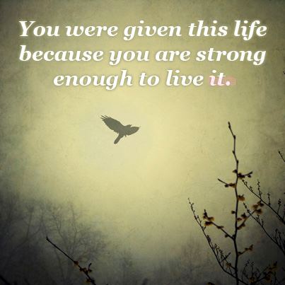 You were given this life because you are strong enough to live it. | I ...