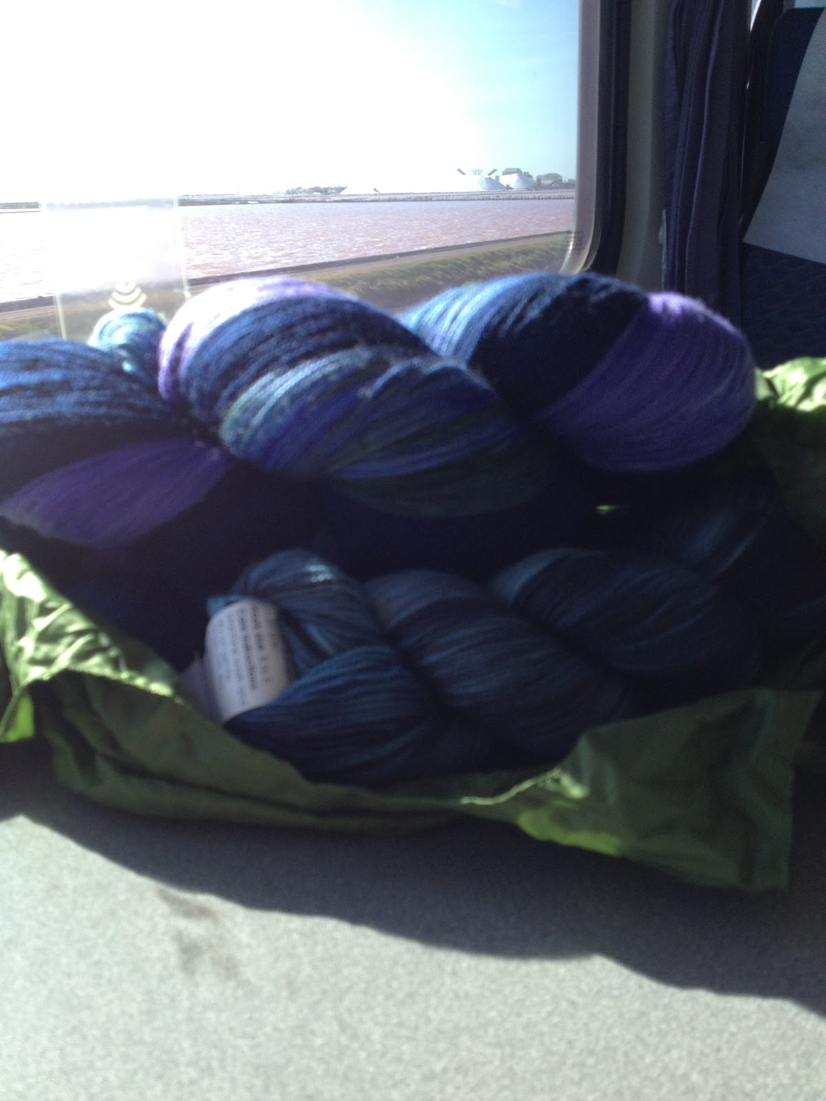 Camellia City Stockinettes: Stitches West 2013