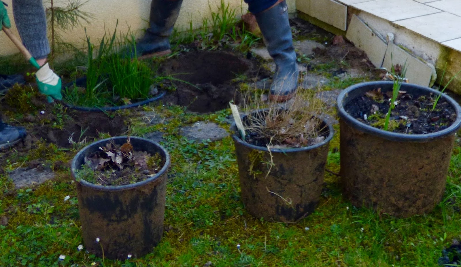 Une semaine à Paris-Forêt: Jardiner - Le Défi Potager #7 : l'accélération
