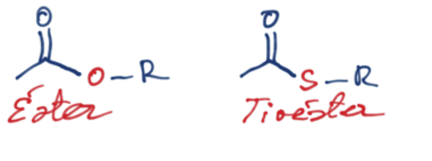 Bienvenidos a Descubrir La Química : ÉTER, ÉSTER, TIOÉTER Y TIOÉSTER
