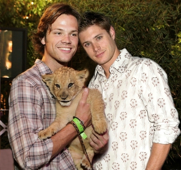 Jared Padalecki Filmes E Programas De Tv