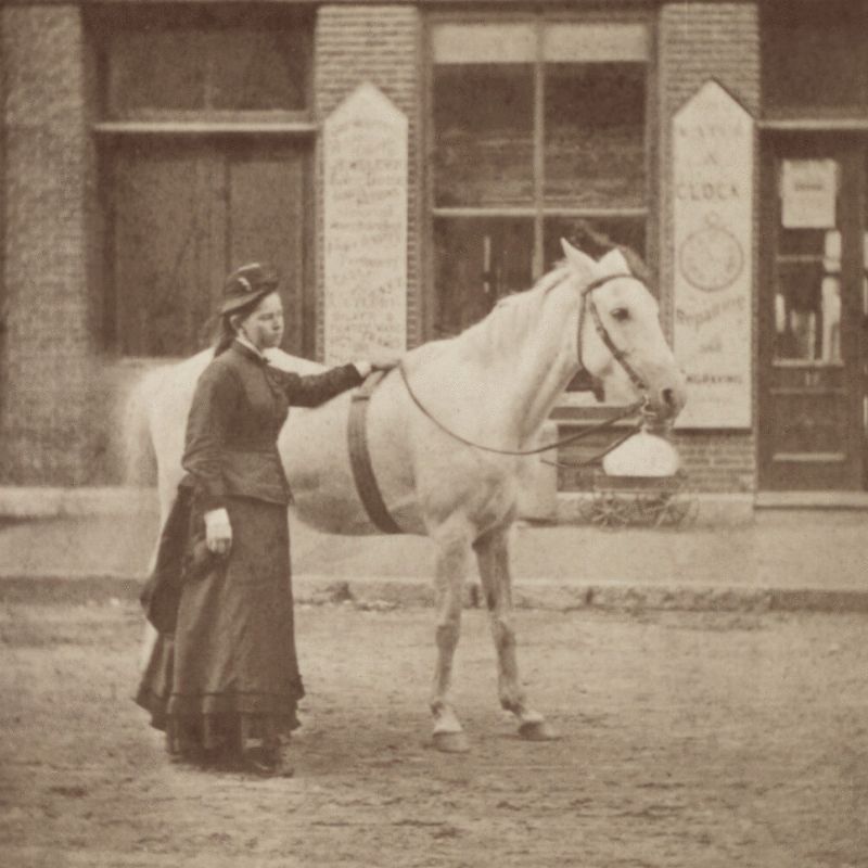 38 Amazing Pics Document Everyday Life of the US in the 19th Century ...