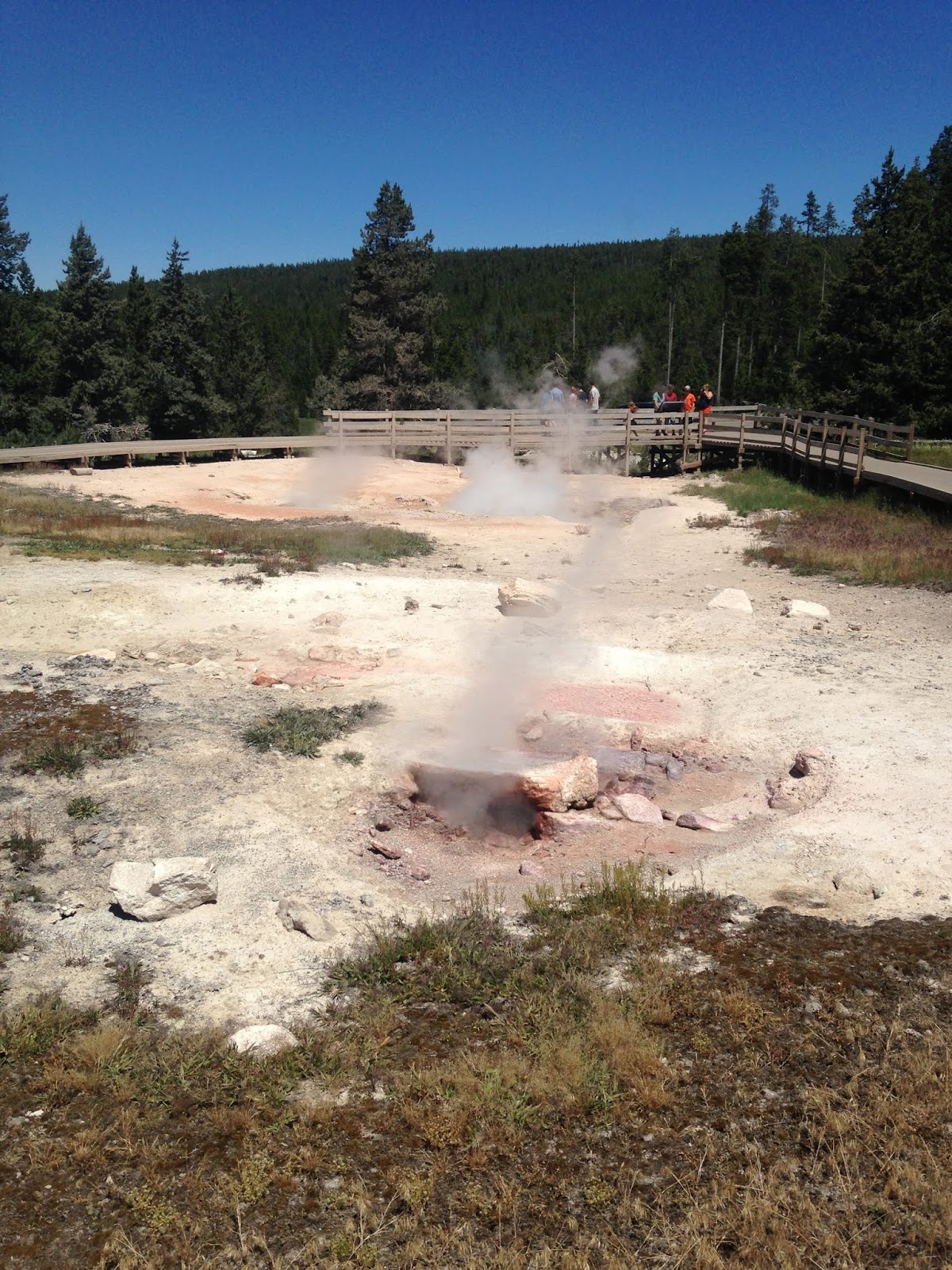 Grand Loop Road of Yellowstone National Park