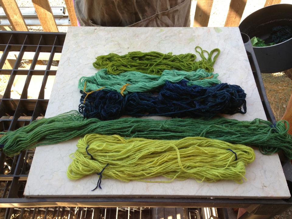 Dyeing for Color: Adventures in Historic Dyes: Playing with Viking Age ...