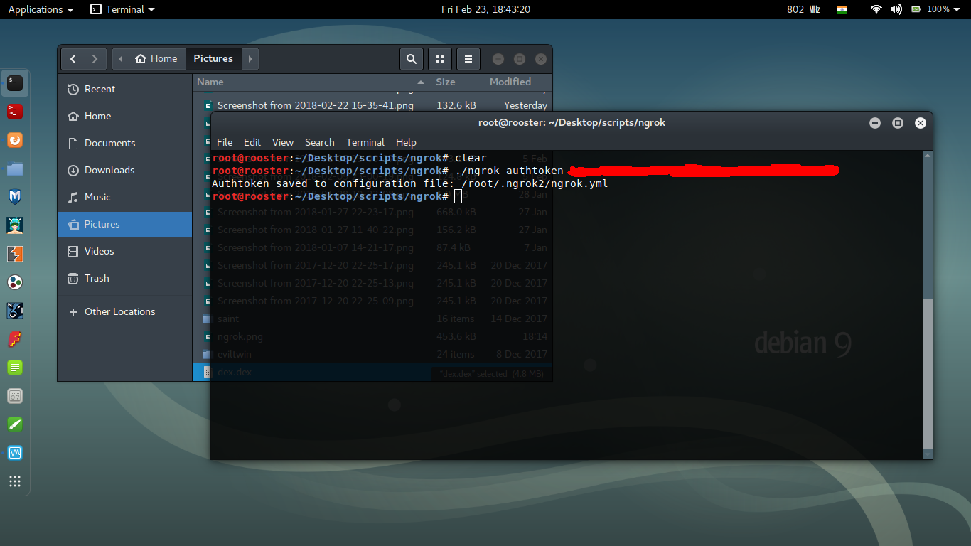 NO PORT FORWARDING]!!!!!!!!!! Reverse tcp shell and configure ngrok