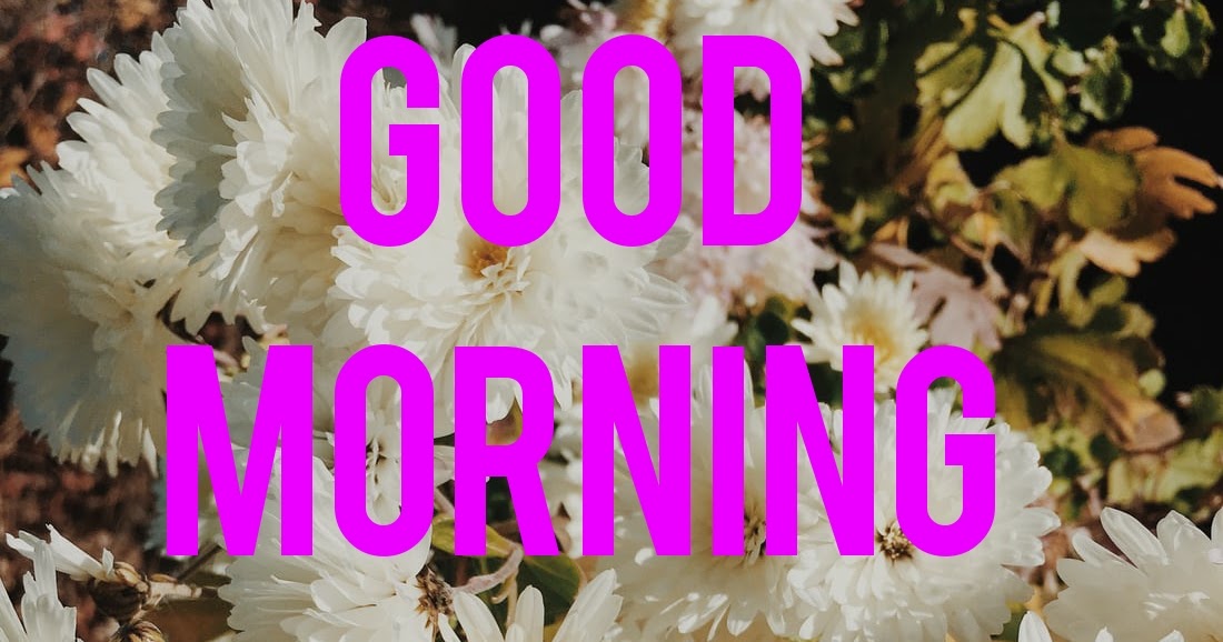 Top 10 Good Morning Images greeting Pictures,Photos for Whatsapp - Good ...