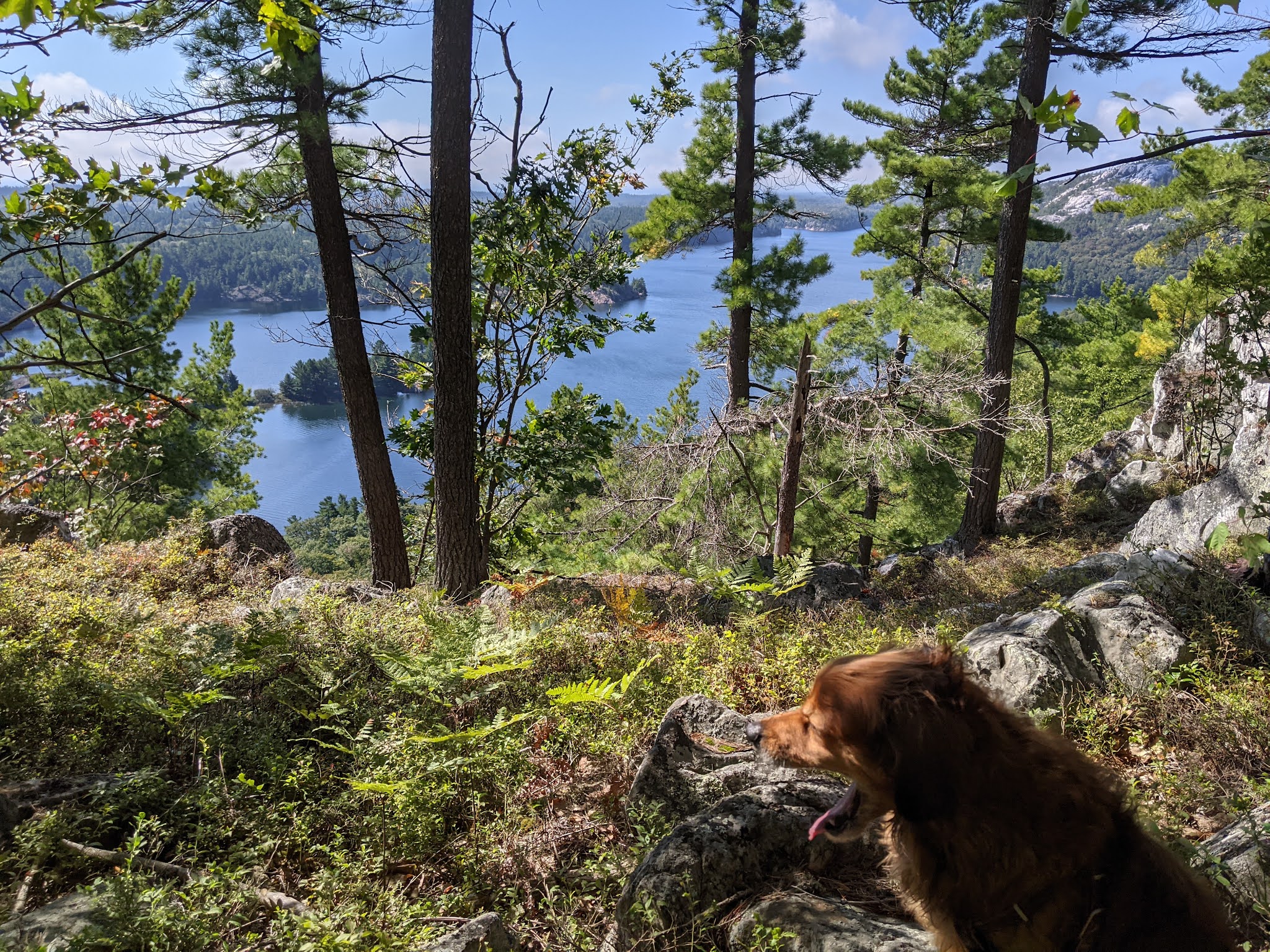Uidumõtteid ja Juhtumisi: Killarney-11 (17 sep), OSA Lake