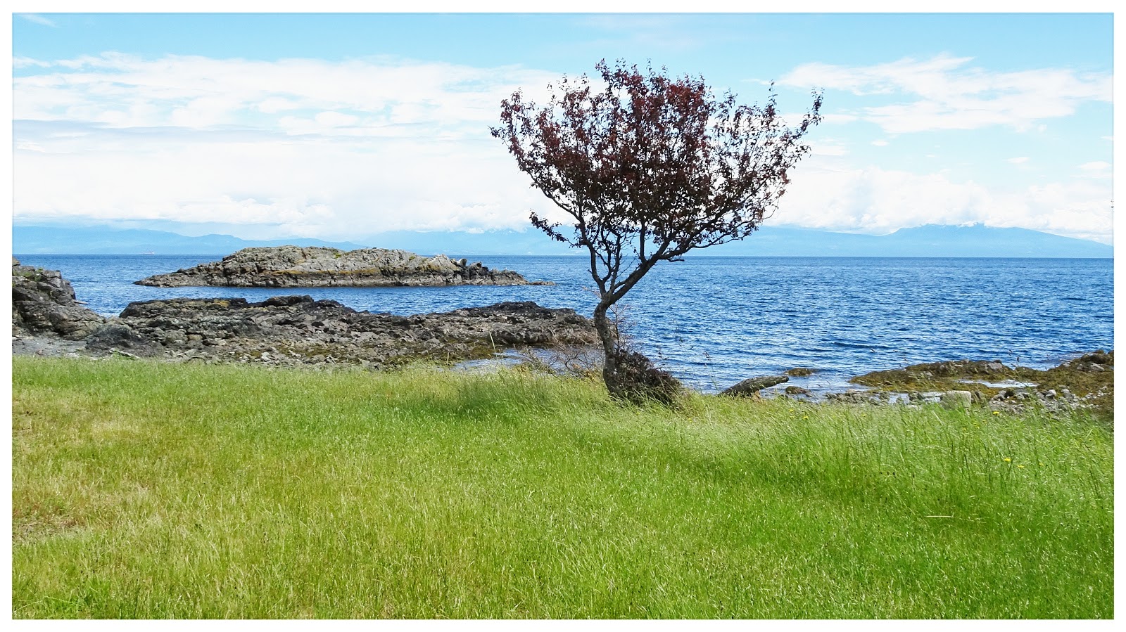 20+ Parks in Nanaimo: Neck Point Park