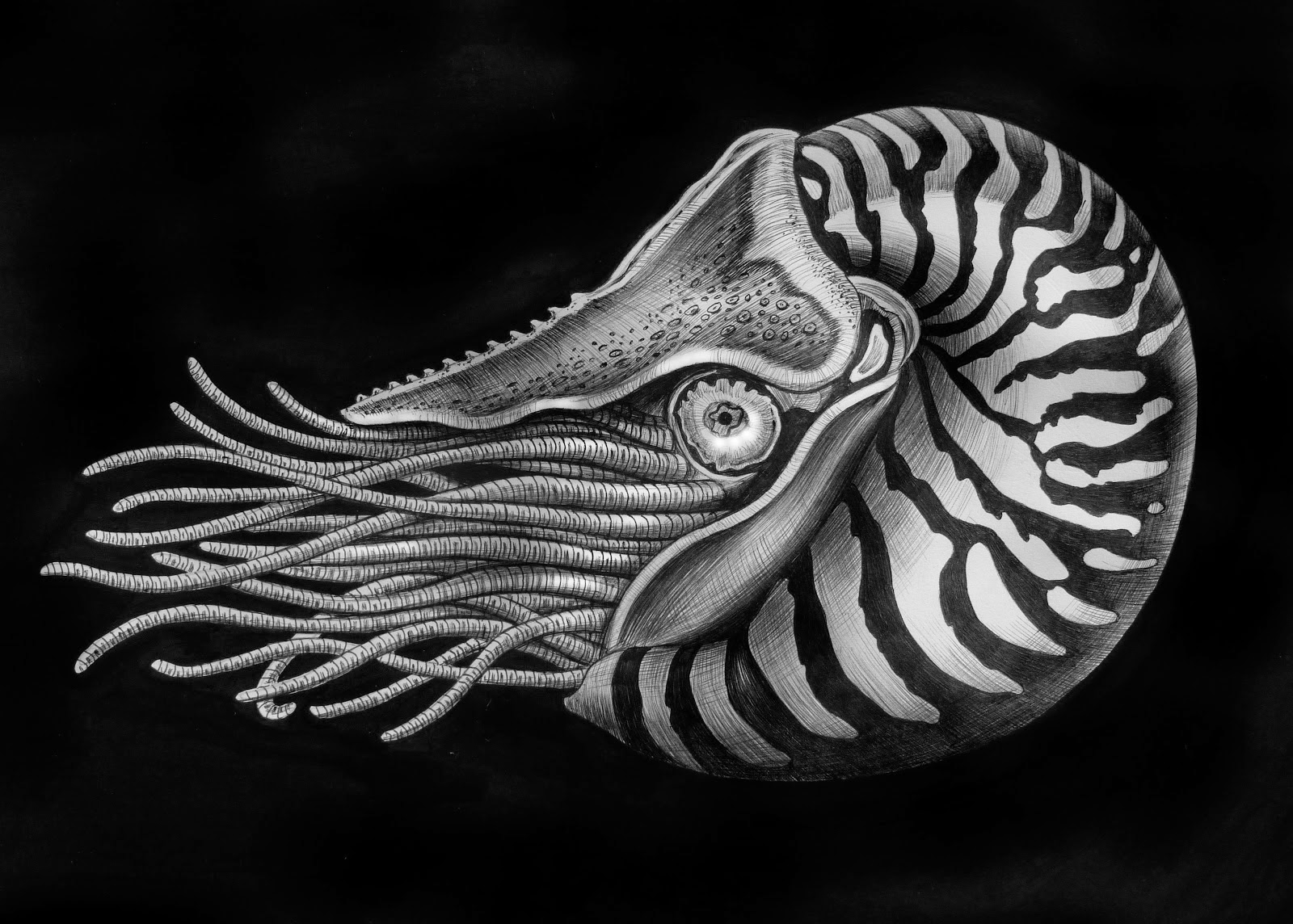 Design Stack: A Blog about Art, Design and Architecture: All Creatures ...