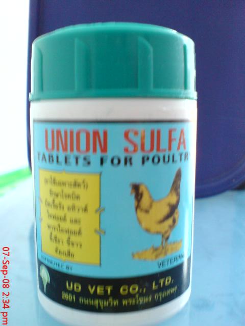 .: ANEKA OBAT AYAM BANGKOK