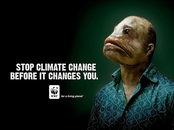 NatureWire: Are These the Best Ads Raising Awareness of Climate Change?