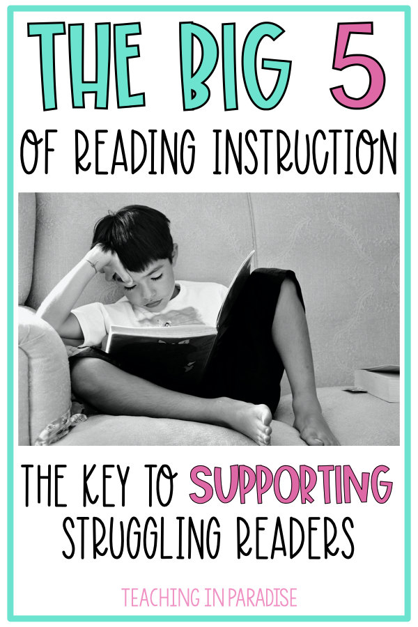 Teaching in Paradise: The Big Five: Essential to Supporting Your ...