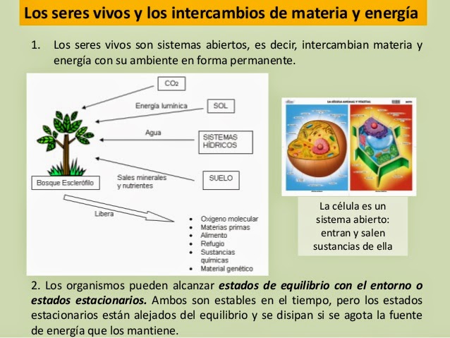 FUNDAMENTOS DE LA CIENCIA: abril 2015