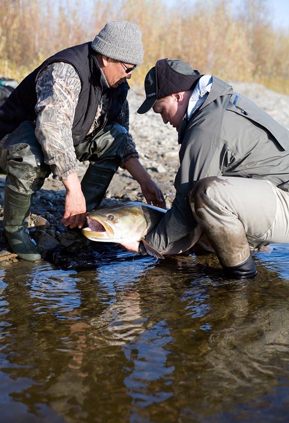 Chavanga Fish Blog: Khabarovsk Taimen fishing tour