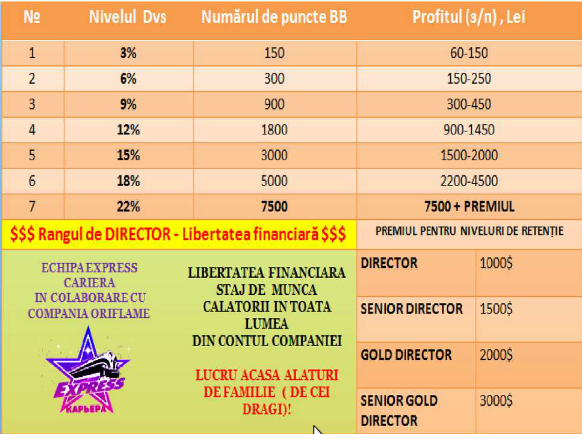 MUNCA DE ACASA: OPORTUNITATE DE AFACERE