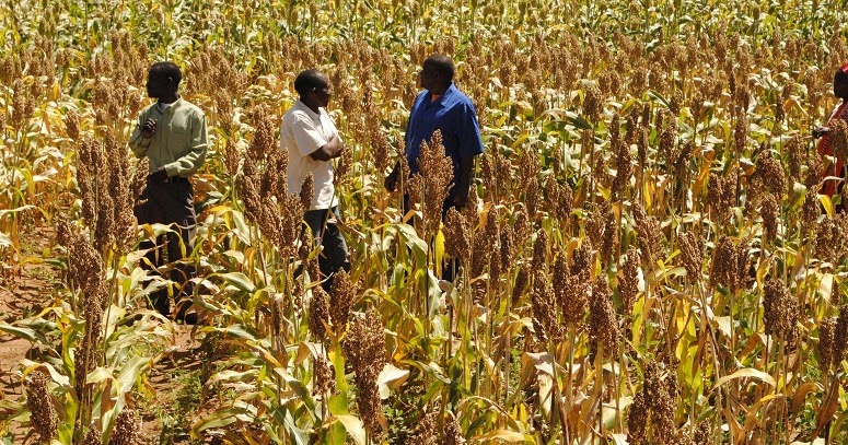 RORYA-MARA:: MKUU WA WILAYA YA RORYA SAIMON KIMORI CHACHA AHIMIZA ...