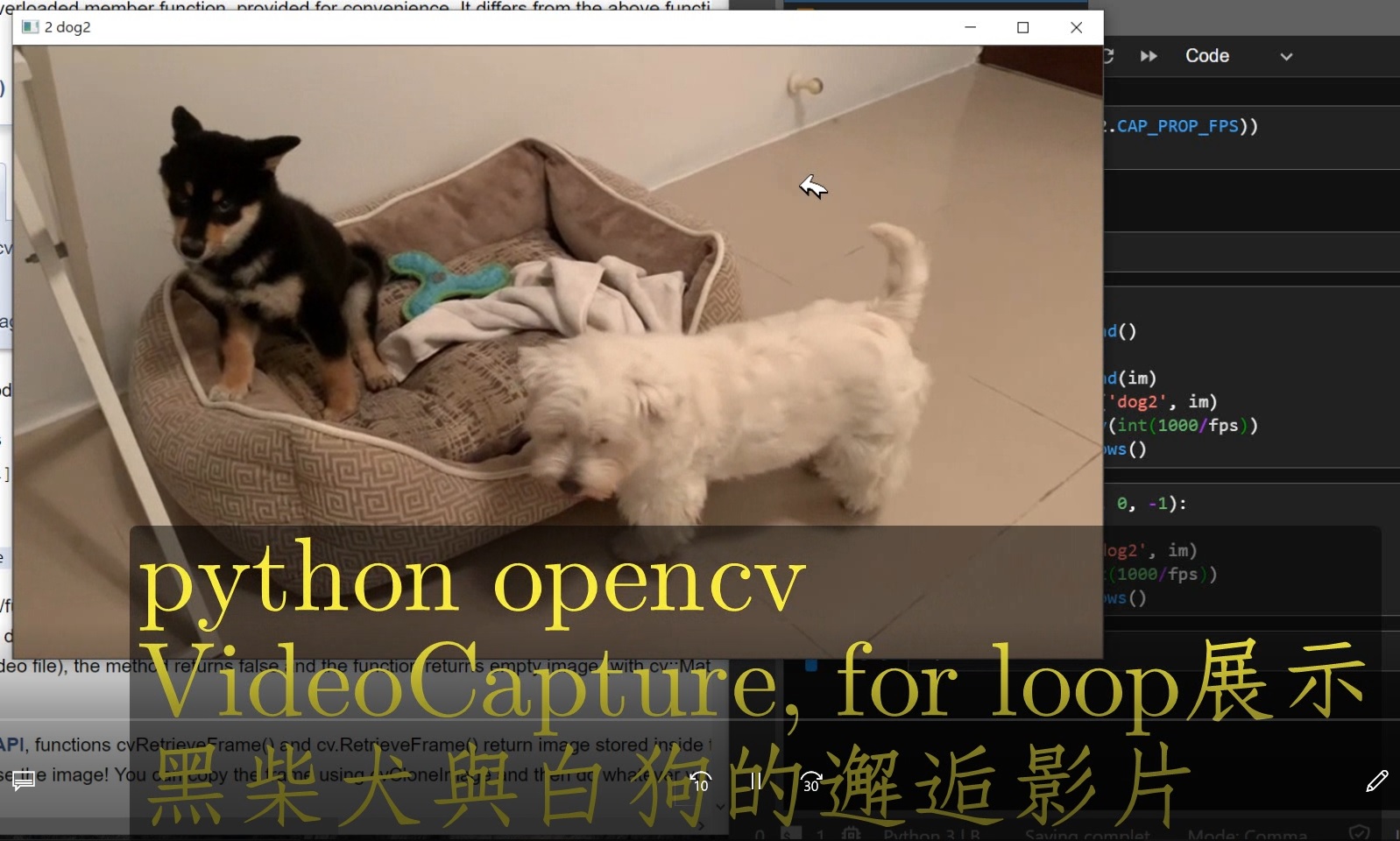 Herr Deng桑的教學blog 黑柴犬與白狗的邂逅影片python Opencv Videocapture Andfor Loop