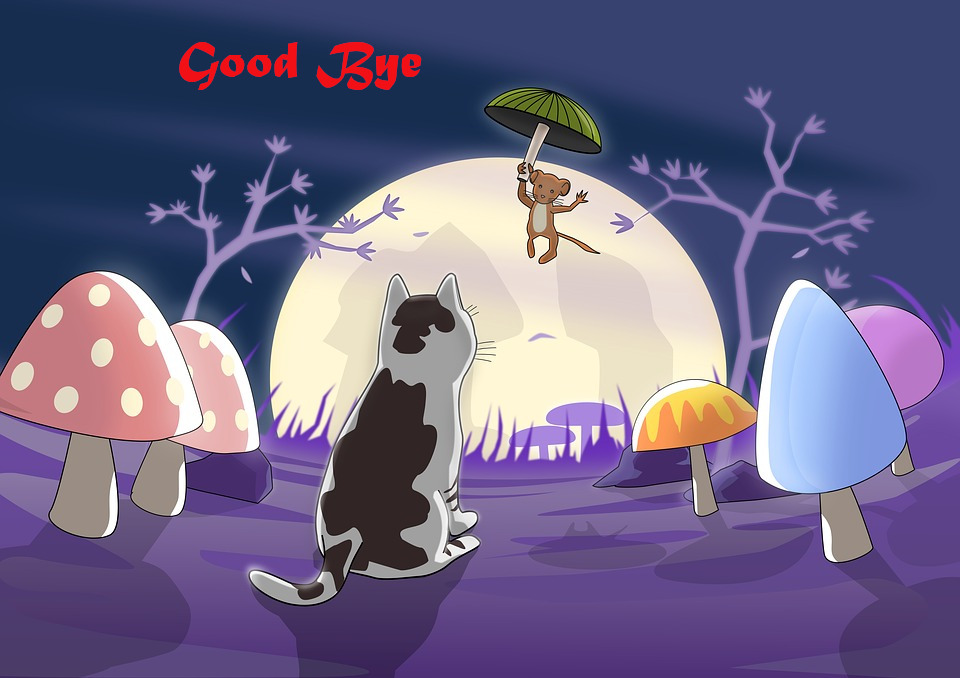 Top 10 Good Bye Images, Greetings, Pictures,Photos for Whatsapp ...