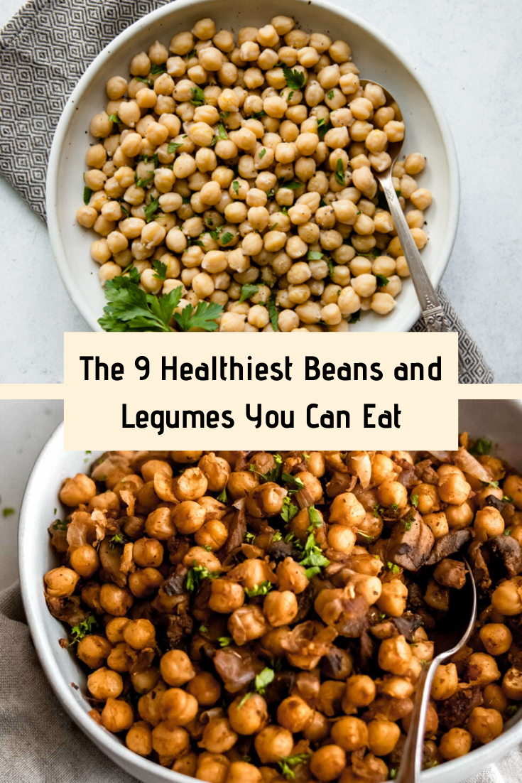 Which Beans Have The Most Protein