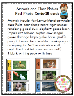 Animals and Their Babies Real Photo 38 Cards ~ Preschool Printables