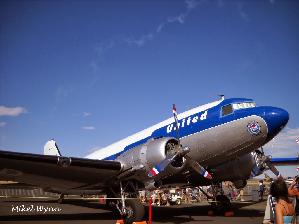 M. Wynn: "Wild Card" Aviation Photography & Images: Special Liveries ...