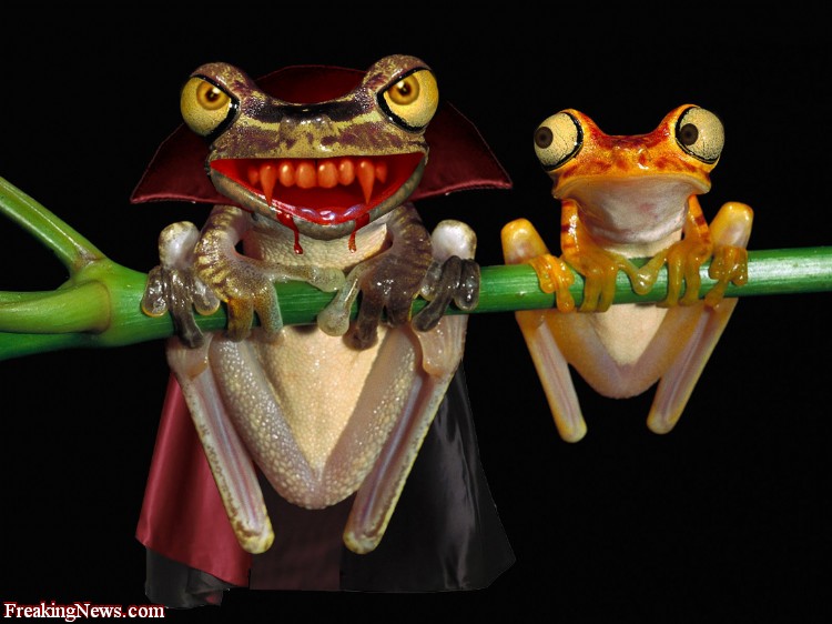 Frogblog: Vampire frogs
