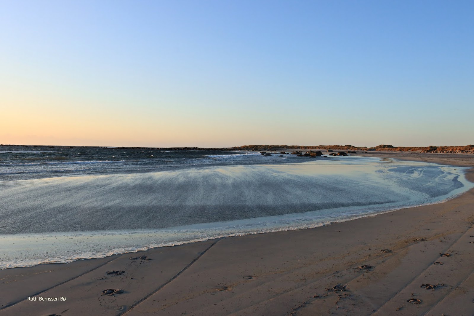 solsikken: sol opp og sol ned..