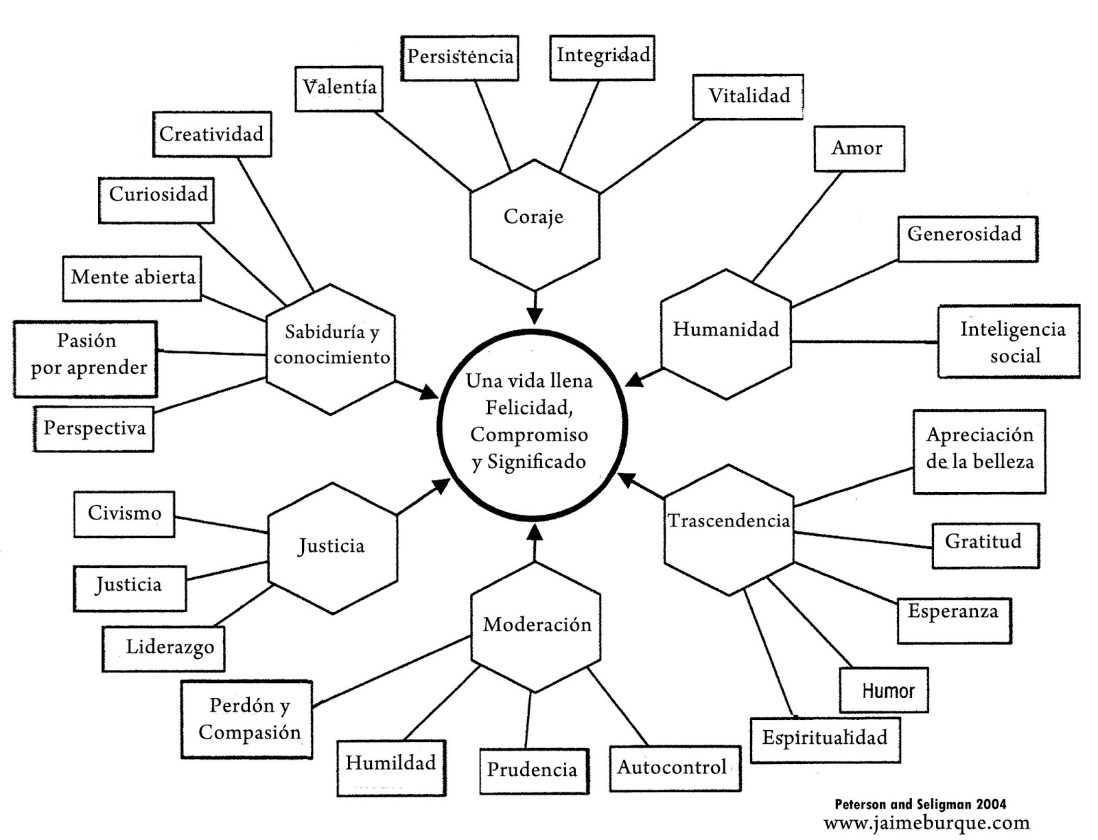 + FORTALEZAS, FLOW Y FLORECIMIENTO